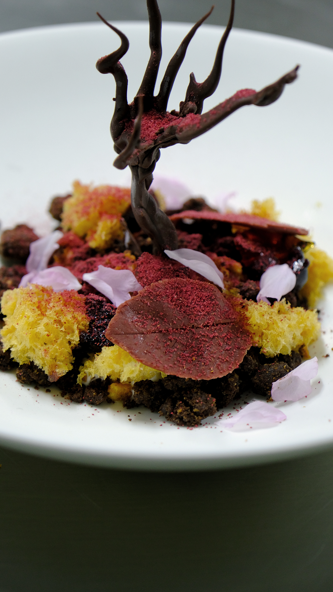 Qima Café – Tree to Cup Coffee to the Heart of London – Kensington and ...